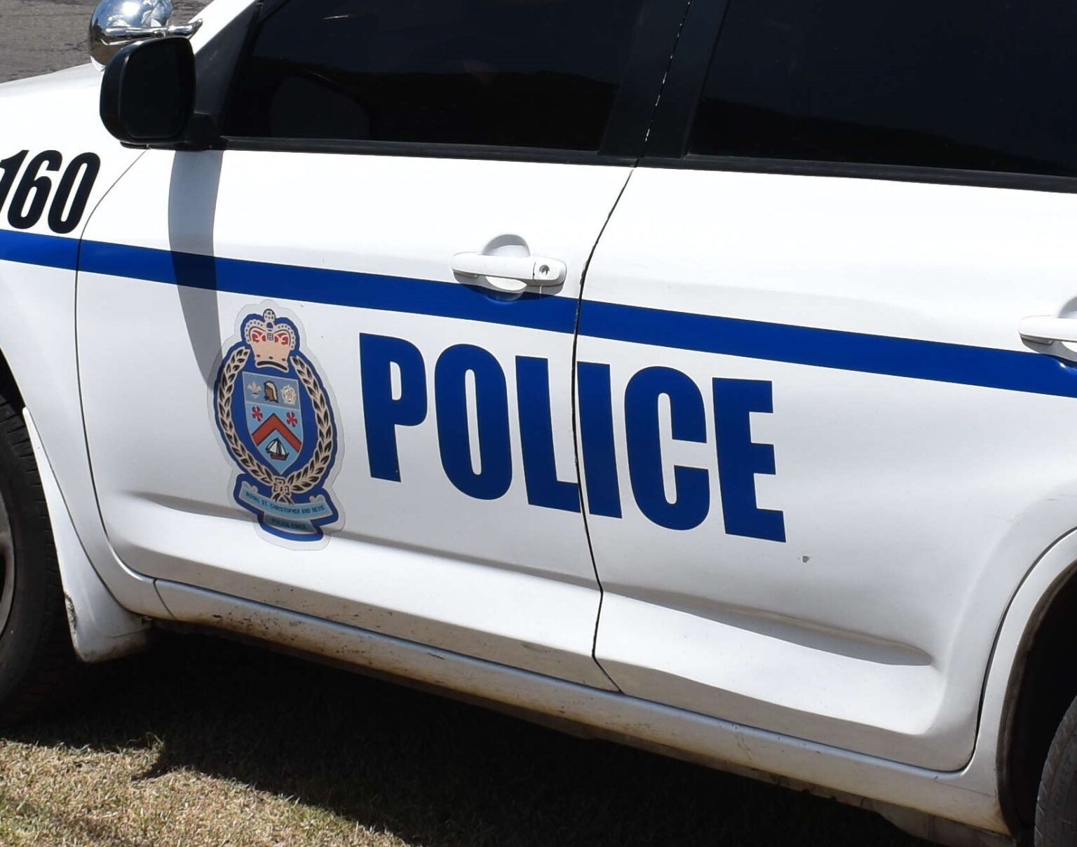 SKN PULSE - Curation Network | Social Media Agency